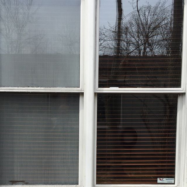 My Window Washing,- Check Out Our Recent Work and Videos